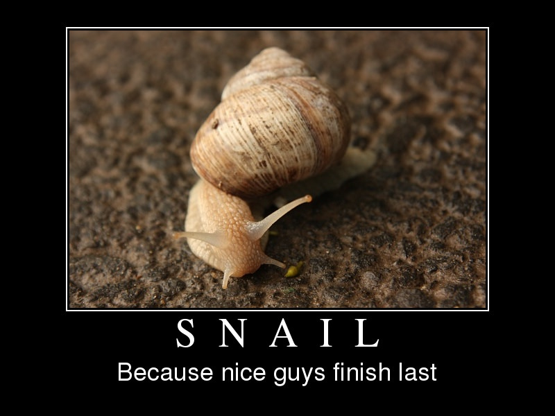 Nice Guys Finish Last and How To Be Less “Nice” - Dating Coach